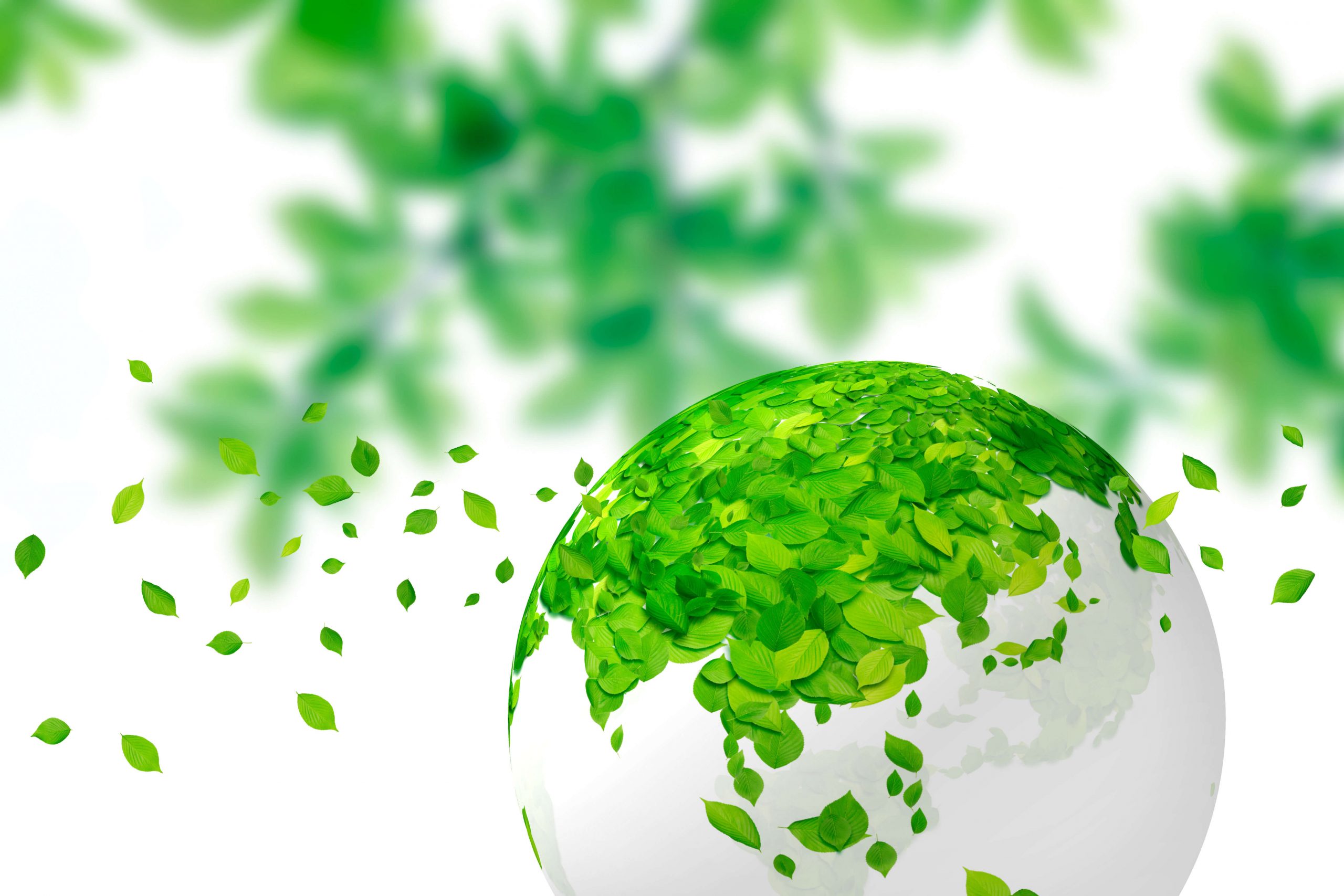 Texas Green Fuels Commences Pre-FEED with Technip Energies for Clean ...